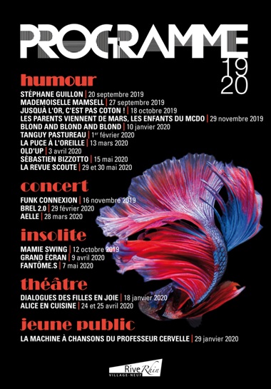 LES SPECTACLES PASSÉS | Les spectacles